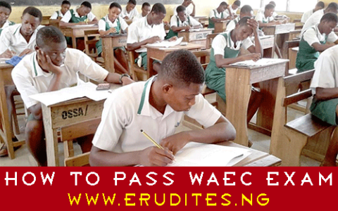 11 Reasons Why Students Fail In WAEC Accounting 2019 - Erudites Academy